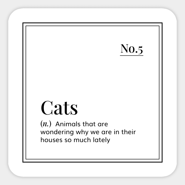 simple description about cat
