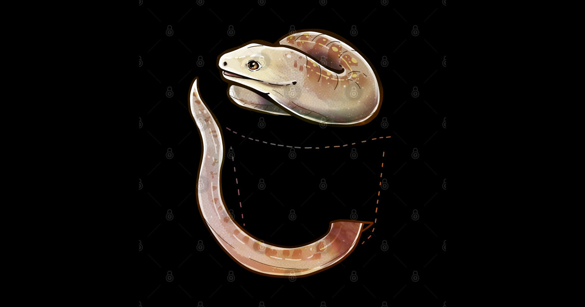Pocket Cute Legless Lizard Pet - Legless Lizard - Sticker | TeePublic