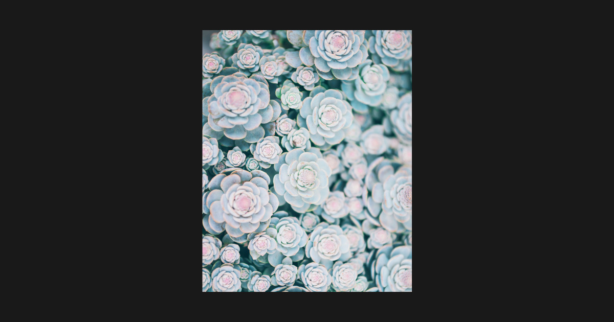 Succulent, Leaves, Modern art, Wall art, Print, Minimalistic, Modern ...