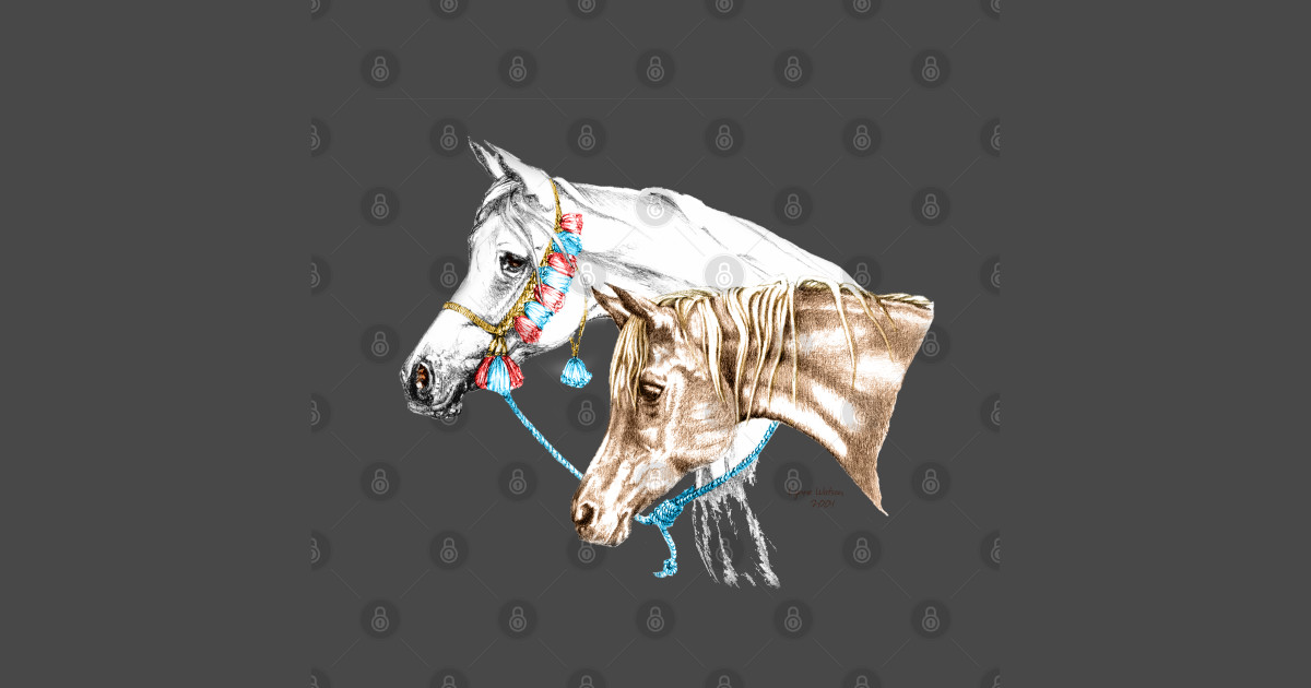 Morafic* and Moniet El Nefous. Arabian horses. - Arabian Horse - T ...