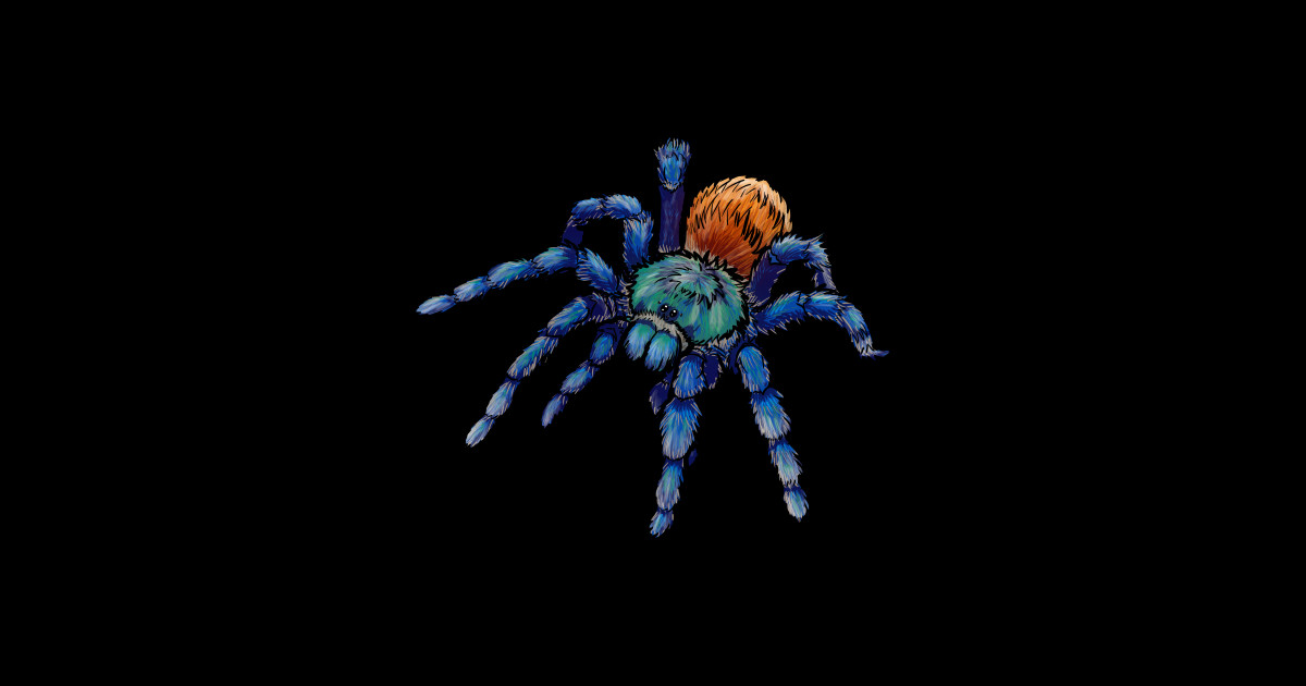 Greenbottle Blue Tarantula with Black Outline - Greenbottle Blue ...