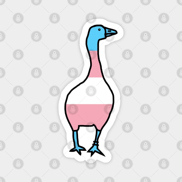 Transgender Pride Flag Goose - Lgbtq - Magnet | TeePublic