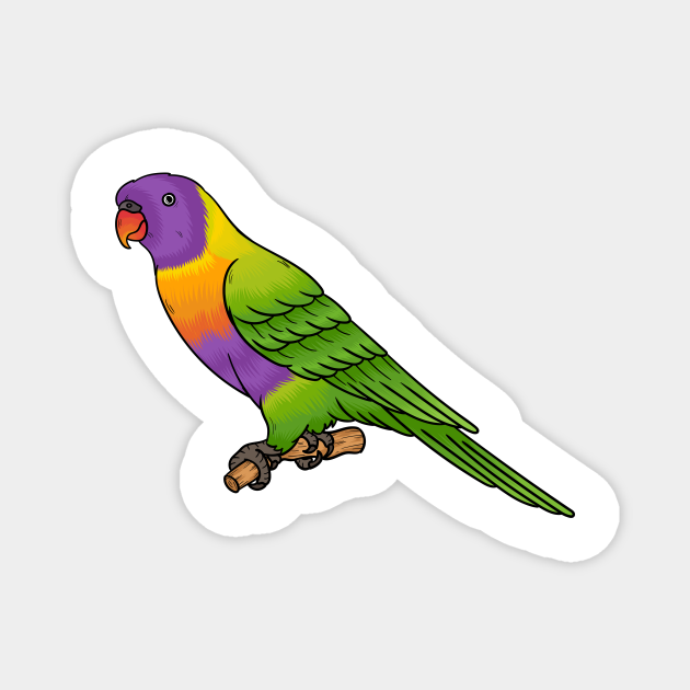 Rainbow lorikeet bird cartoon illustration - Rainbow Lorikeet Bird ...