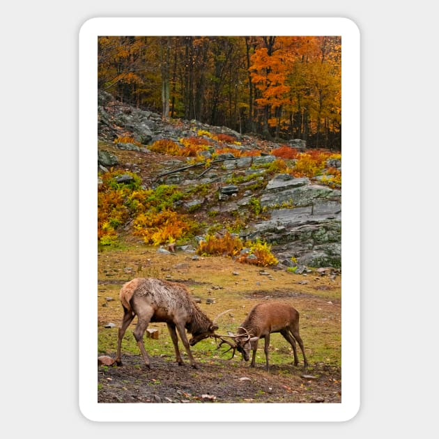 Elks - Elk - Sticker | TeePublic