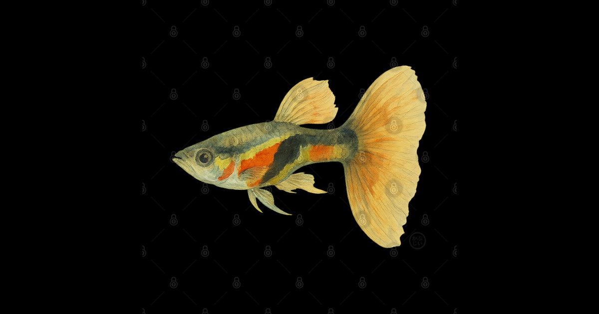 Guppy Fish - Japanese Style - Guppy Fish - Posters and Art Prints ...