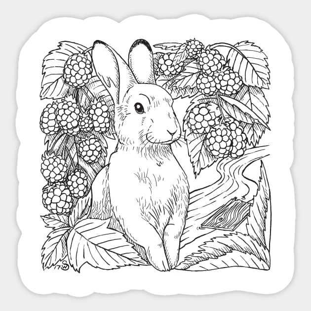 blackberry hare