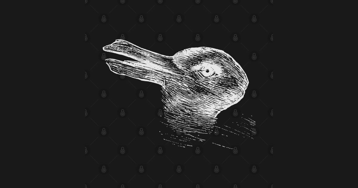 Optical Illusion - Rabbit Duck - Optical Illusion - T-Shirt | TeePublic