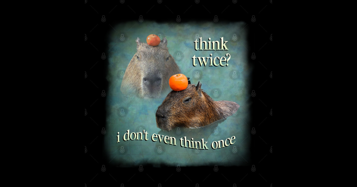 Capybara Meme - Capybara Meme - Sticker | TeePublic