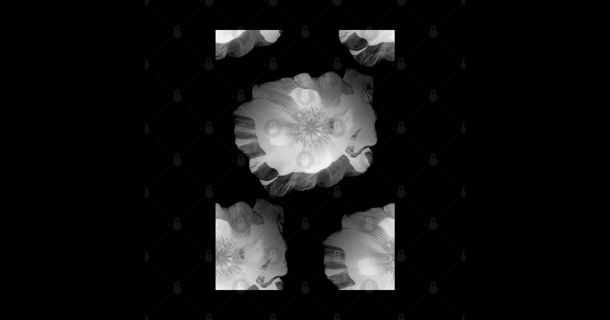 black and white frilly poppy effect - Black And White Frilly Poppy ...