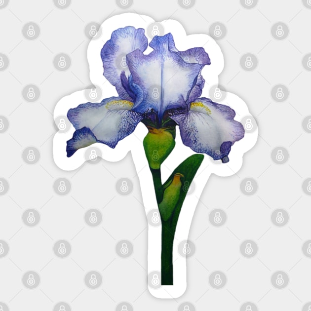 Little Iris - Iris - Sticker | TeePublic
