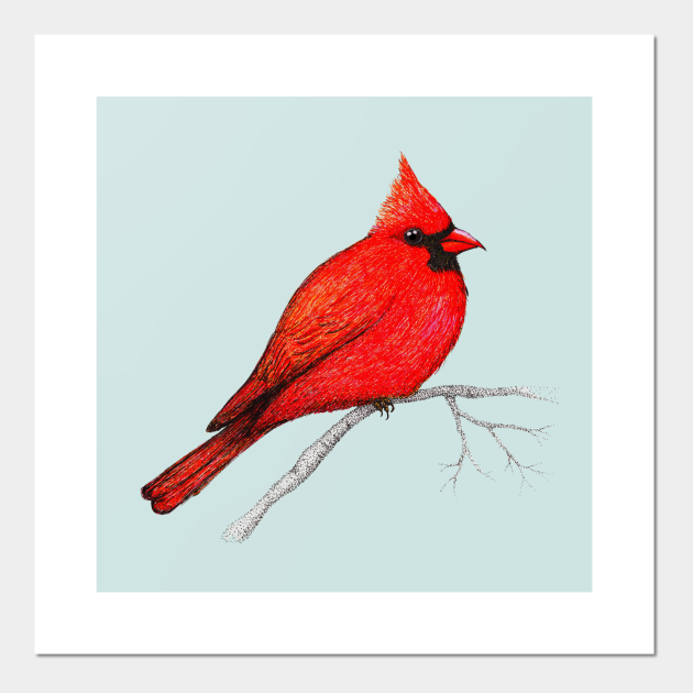 Northern cardinal pen drawing - Bird - Posters and Art Prints | TeePublic