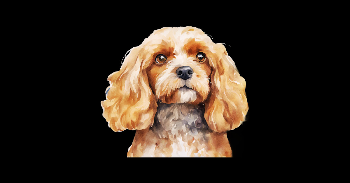 Watercolor Cavapoo Face - Cavapoo - Posters and Art Prints | TeePublic