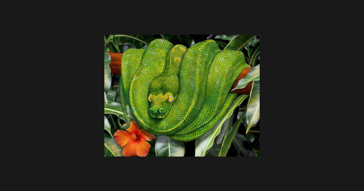 Green Tree Python - Green Tree Python - T-Shirt | TeePublic