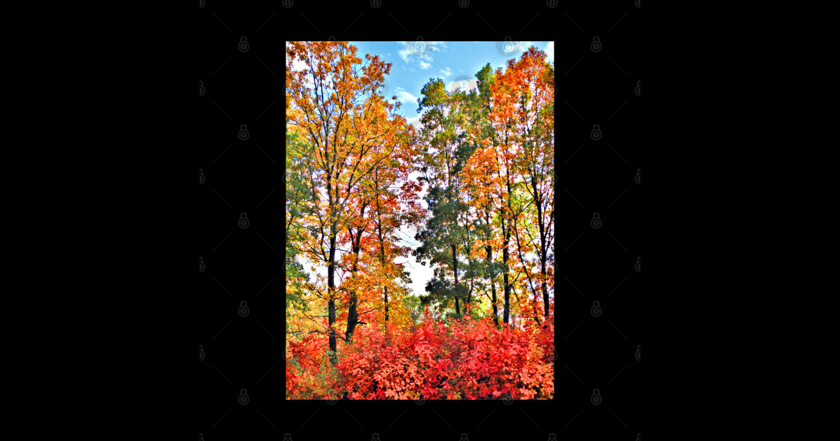 Fall Colors - Fall Autumn September October - Sticker | TeePublic