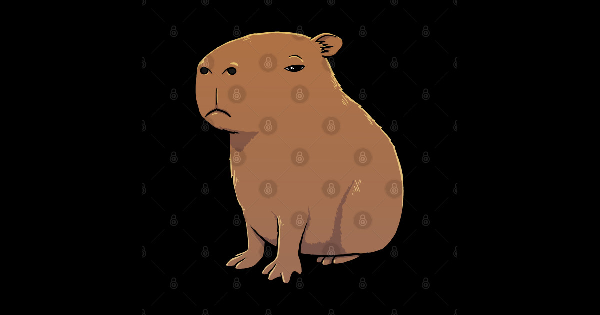Capybara with a grumpy look - Capybara - Sticker | TeePublic