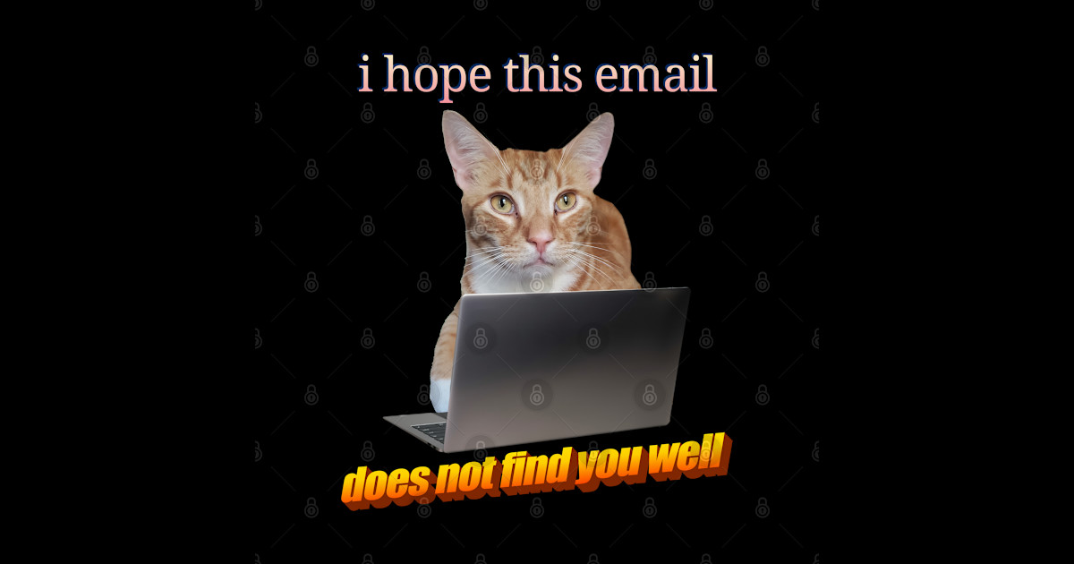 I hope this email does not find you well - cat meme - Cat Memes ...