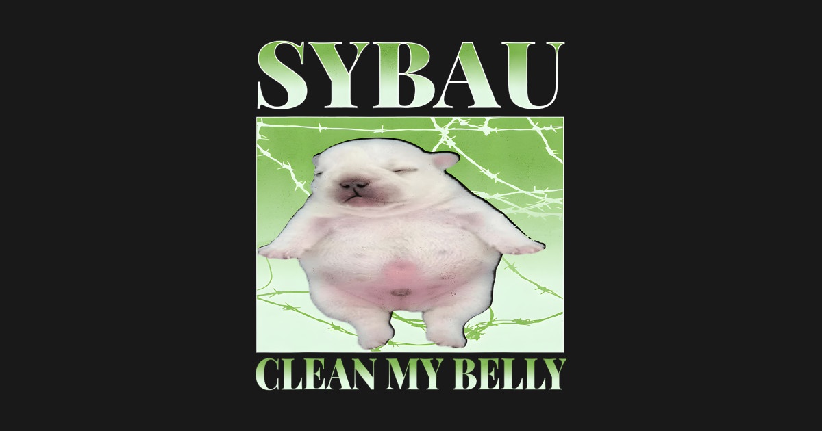 Pibble Wash My Belly Clean My Belly Brainrot - Funny Dog Meme - T-Shirt ...