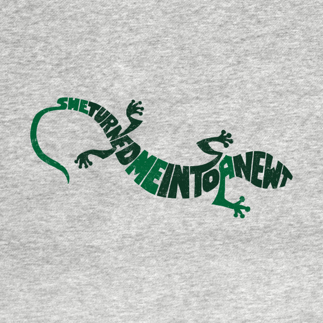 She turned me into a newt - Monty Python And The Holy Grail - T-Shirt ...