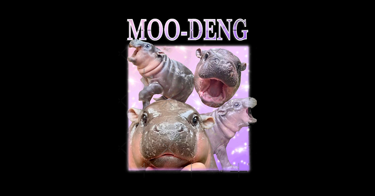 MOO-DENG THE FAMOUS BABY PIGMY HIPPO MOODENG - OFFICIAL Gift For Men ...