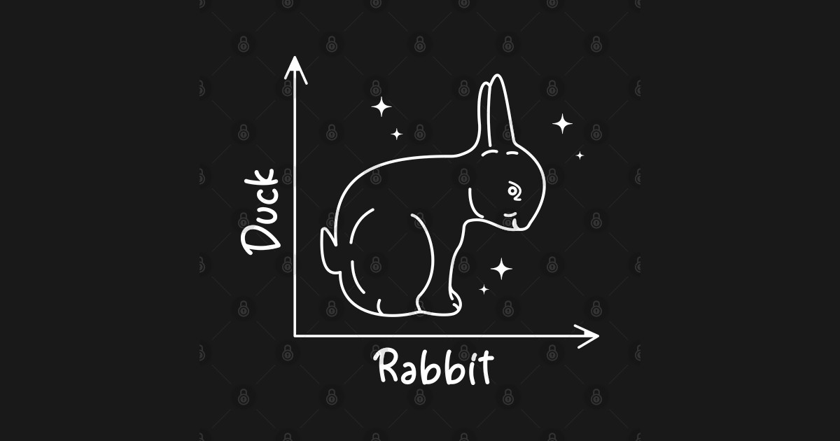 Duck Rabbit Graph - Duck Rabbit Graph - T-Shirt | TeePublic