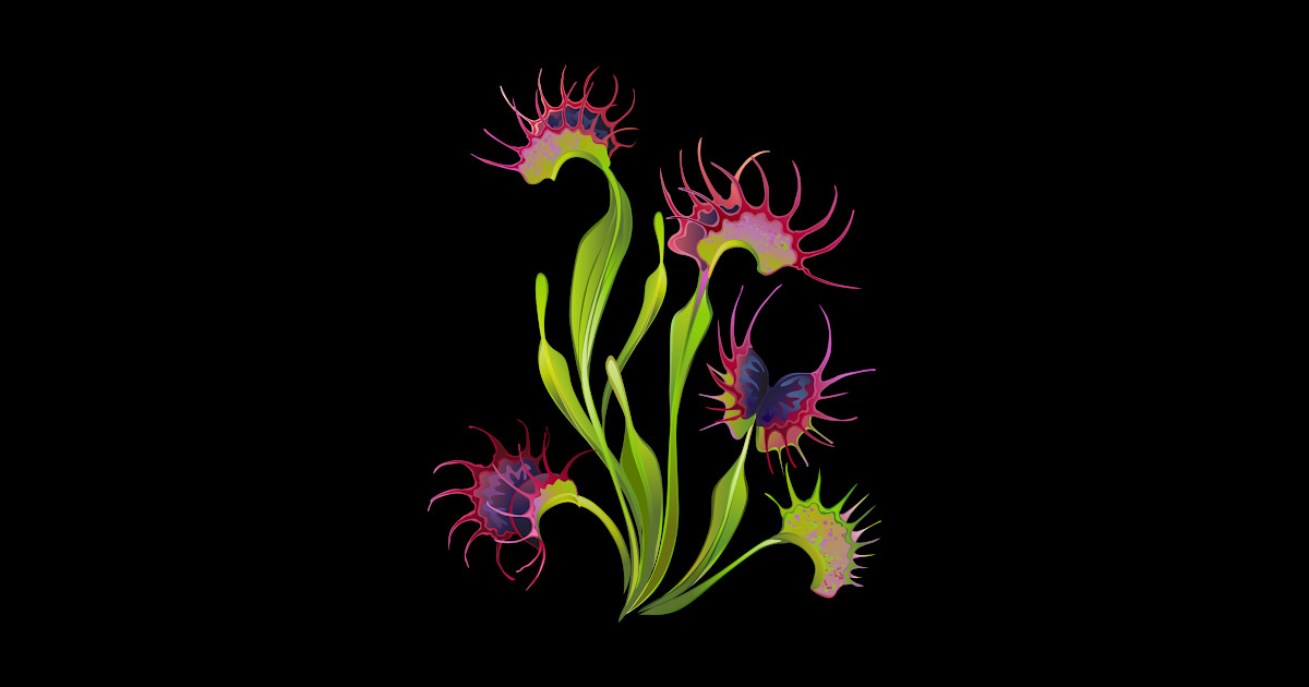 Venus flytrap - Venus Flytrap - Sticker | TeePublic