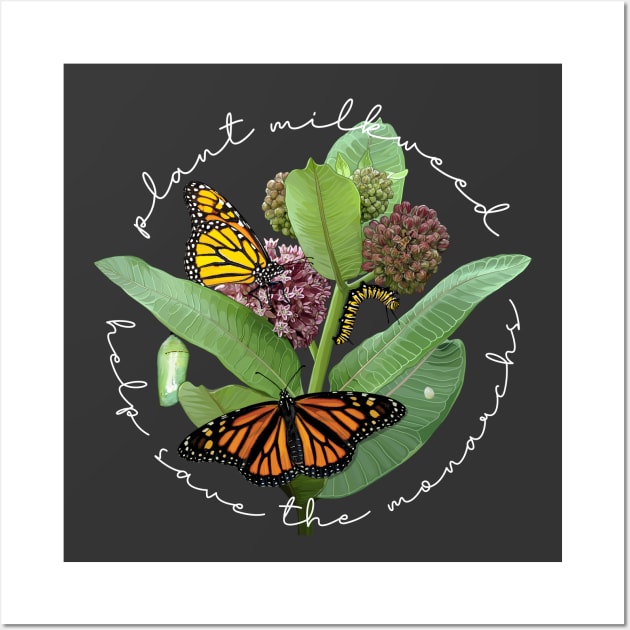 Plant Milkweed Help Save the Monarch Butterfly - Plant Milkweed ...