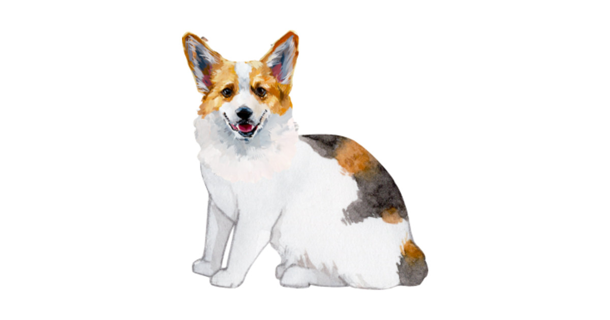 Funny Corgi Dog Face With Cat Body - Funny - T-Shirt | TeePublic