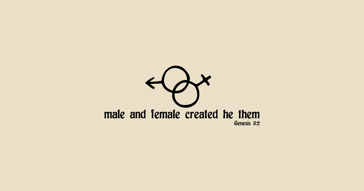 Male and Female Genesis 5:2 Creation of Genders Bible Verse - Gender ...