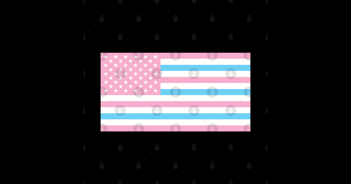 TRANSGENDER USA FLAG - PALE BLUE, WHITE AND PINK TRANSGENDER FLAG ...