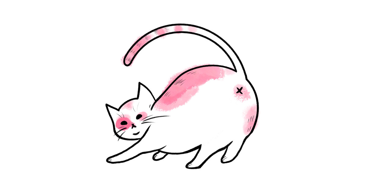 Pink Sassy Cat Sassy Cat Posters And Art Prints Teepublic