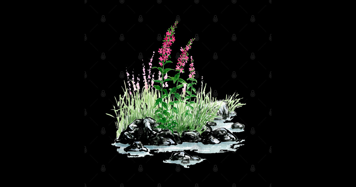 October 11th birthday flower - Birthday - Posters and Art Prints ...