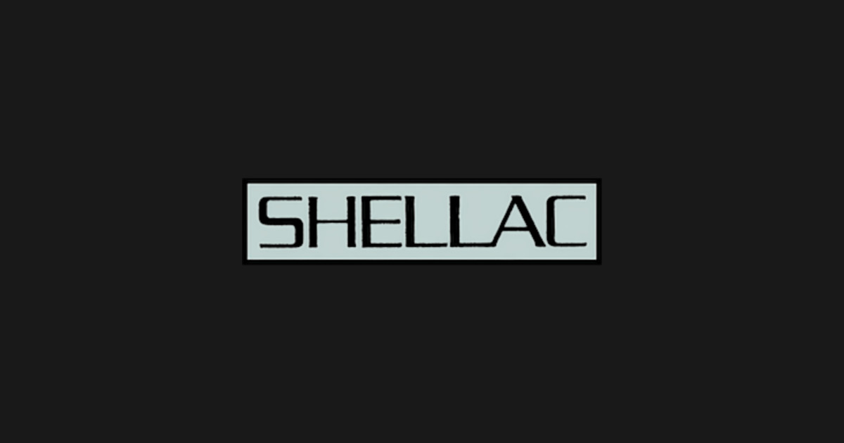 Shellac At Action Park - Action Park - T-Shirt | TeePublic