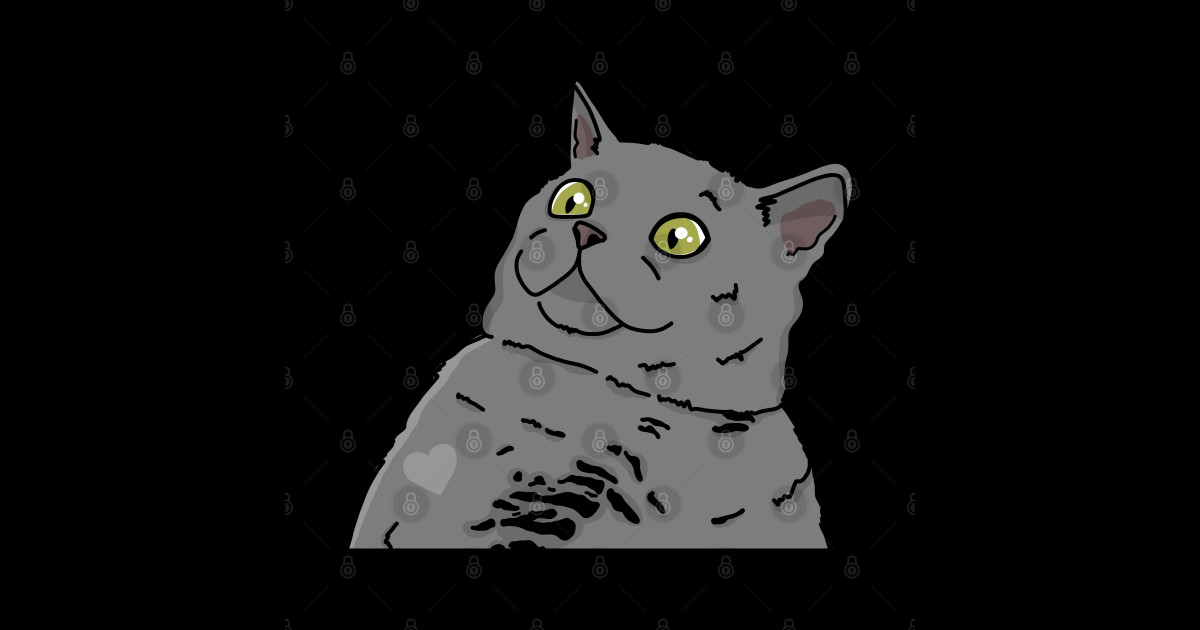 Shocked Cat - Cat - Sticker | TeePublic