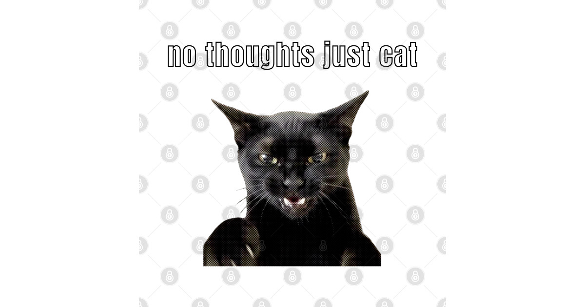No Thoughts Just Cat – Angry Black Cat Meme - Cat Meme - T-Shirt | TeePublic