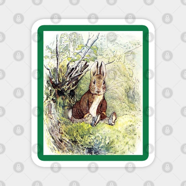 Benjamin Bunny - Beatrix Potter - Benjamin Bunny - Magnet | TeePublic