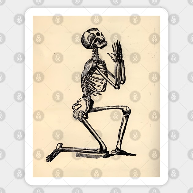 Kneeling Praying Skeleton - Vintage Illustration - Skeleton - Sticker ...