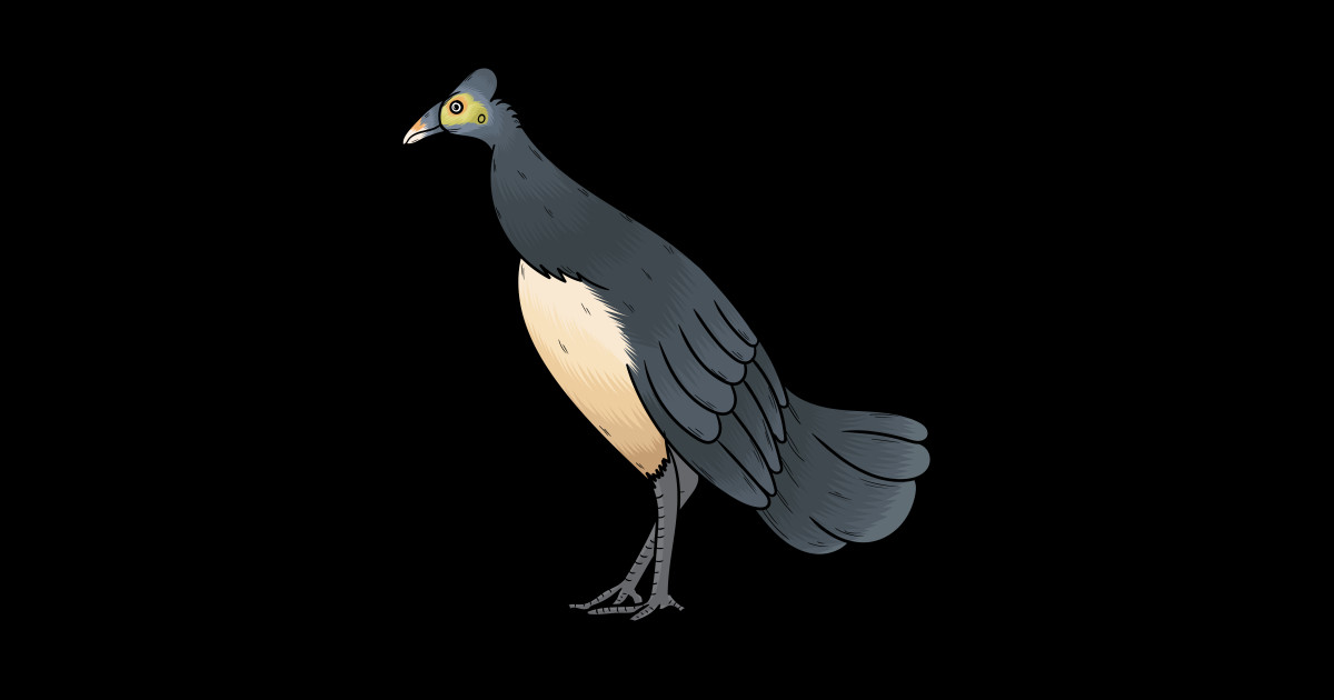 Maleo bird cartoon illustration - Maleo Bird Cartoon Illustration - T ...