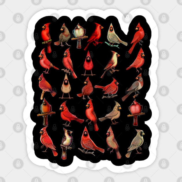 Red cardinal birds - Red Cardinal Red Cardinal Lover Bird - Sticker ...
