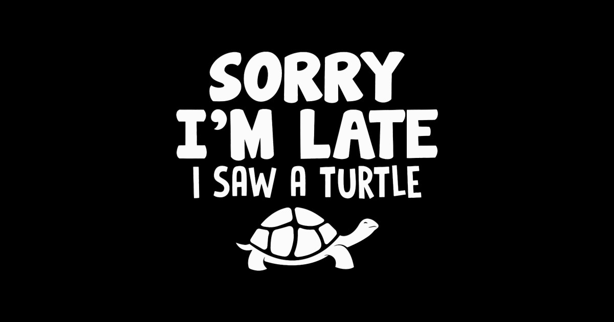 Turtle Pet Sorry I m Late I Saw A Turtle - Turtle - Sticker | TeePublic