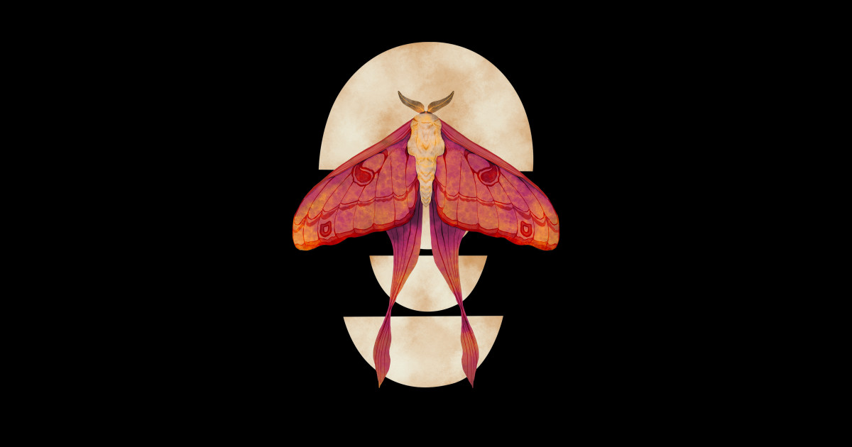 Fiery Luna Moth on Half Moons Watercolor Art - Watercolour - Sticker ...