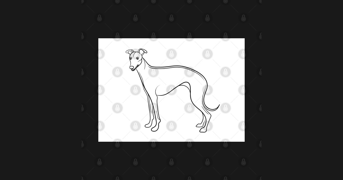 Whippet Line Drawing - Whippet Line Drawing - T-Shirt | TeePublic