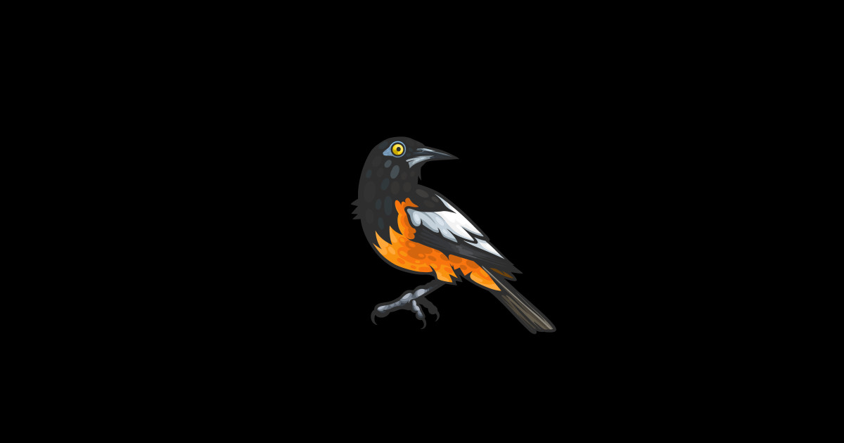 Venezuelan Troupial - Bird - Sticker | TeePublic