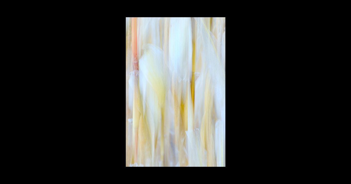 Corn Stalks Impressionism - Abstract - Sticker | TeePublic
