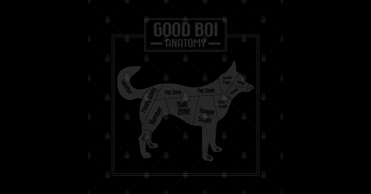 Good Boi Anatomy - Funny Animals - Sticker | TeePublic