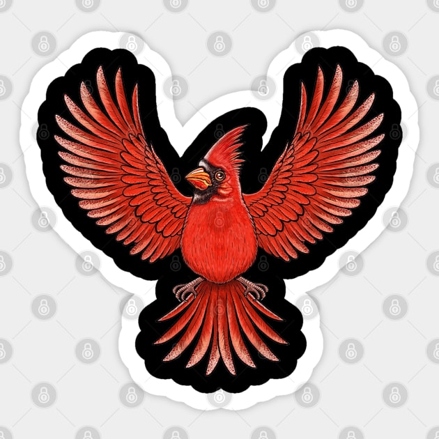 Red Cardinal bird - Red Cardinal Red Cardinal Lover Bird - Sticker ...
