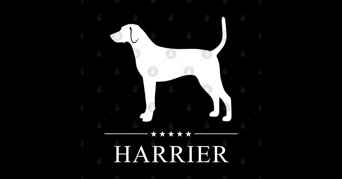 Harrier Dog White Silhouette - Harrier - Sticker | TeePublic