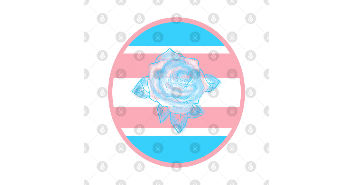 LGBTQ Transgender Pride Flag colors, sphere, Blue White Pink Rose ...