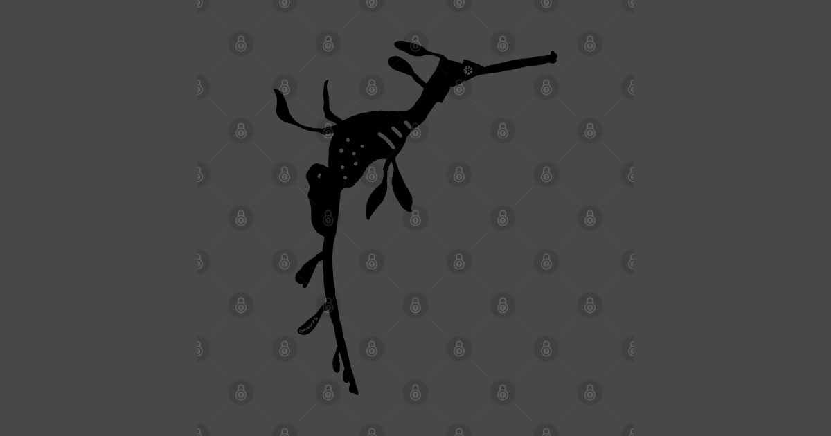 Weedy sea dragon (Phyllopteryx taeniolatus) silhouette - Seadragon - T ...