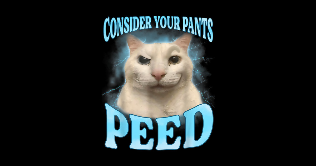 Consider Your Pants Peed Funny Freak Cat Meme Humor Saying T Shirt ...