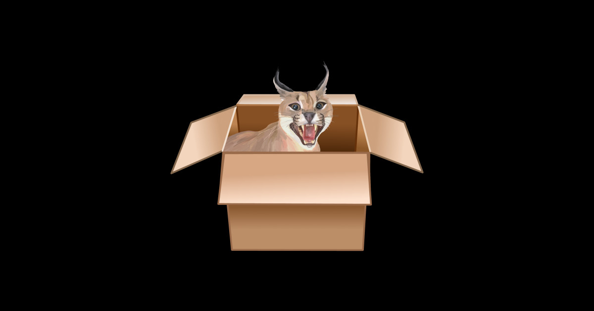 Caracal Cat Peeping from Cardboard Box - Caracal - Magnet | TeePublic